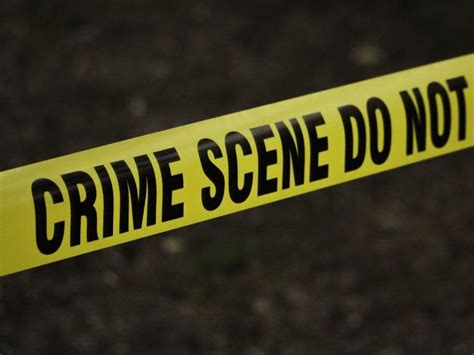 interactive murder mystery dna profiling game teaching resources