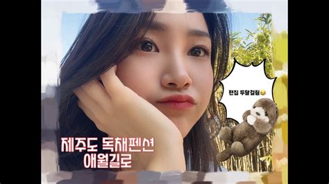 제주vlog애월독채펜션자쿠지감성숙소프라이빗숙소제주잇다제주도숙소숙소추천 Youtube