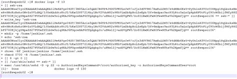 Containers Are Spawned But Appear Offline And Build Doesnt Start