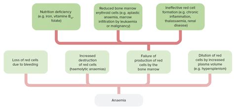 Anemia Overview Microcytic Macrocytic And Normocytic Anemia
