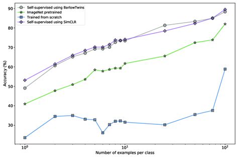 Classification Results After Fine Tuning Pretrained Models On