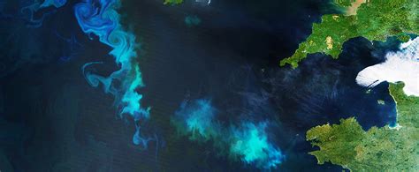 Remote Sensing Oao Oceanographic Autonomous Observations