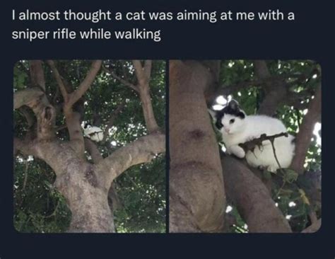 30 Funny Homebody Memes For Introverts Who Always Miss Their Couch