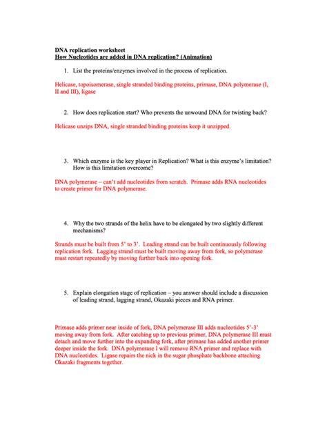 Dna Replication Review Worksheet Bahan1pictemplatemyid
