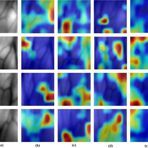 The Visualization Results Of Feature Maps And Class Activation Maps Of Download Scientific