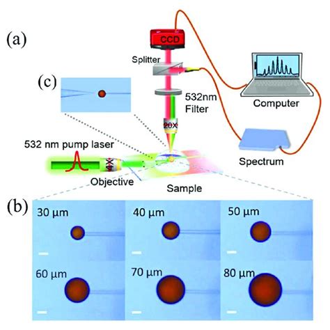A Schematic Diagram Of The Whispering Gallery Mode Wgm Experimental Download Scientific