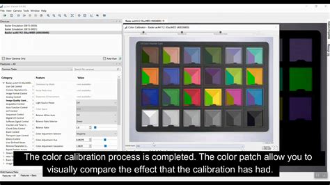 How To Use Basler Color Calibrator In The Pylon Viewer Soda Vision