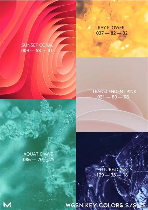 Wgsn Coloro Color Trends A W 25 26 Moject Summer Color Trends