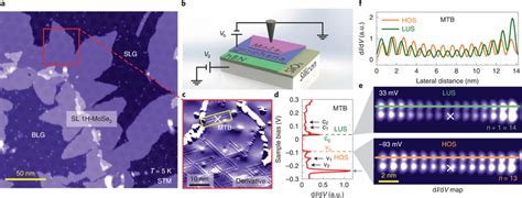 Stm Characterization Of A Sl Mose2 Graphene Hbn Sio2 Si Device At Download Scientific Diagram