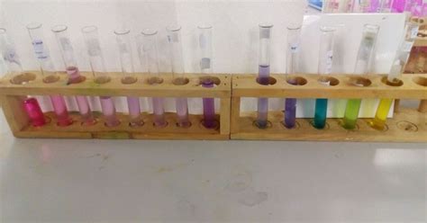 BiochemistryTeacher Project Making PH Indicator