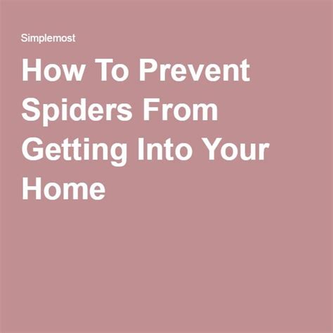 How To Prevent Spiders From Getting Into Your Home Artofit