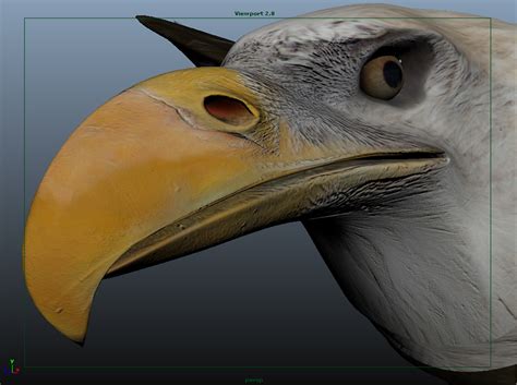 alias maya 3d modeling behance