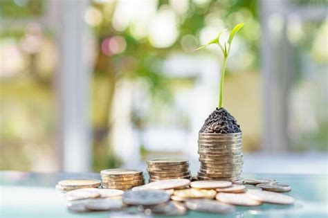 Premium Photo Planting A Tree On A Pile Of Coins Including A Woman S Hand Holding A Coin To A