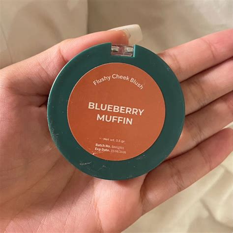 Luxcrime Flushy Cheek Blush Beauty Review