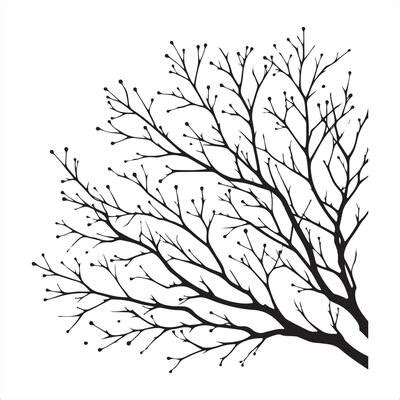 Tree Silhouette Top View Vector Art Icons And Graphics For Free Download