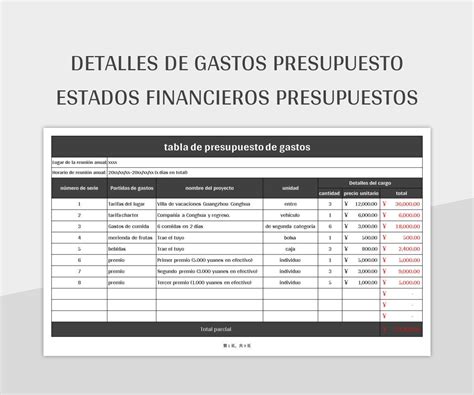 Plantilla De Excel Detalles De Gastos Presupuesto Estados Financieros