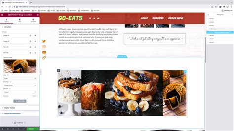 4 Ways To Create An Elementor Image Accordion With Premium Addons