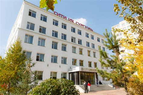 Эрдэм шинжилгээний бичиг Citi University