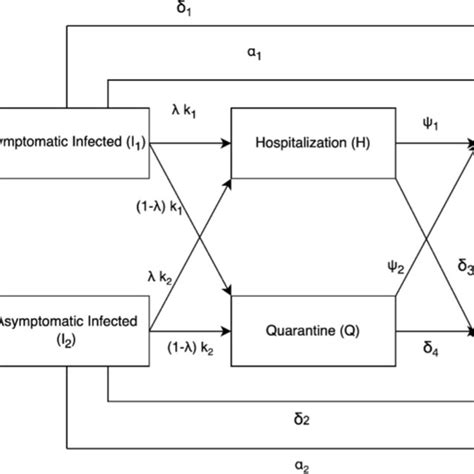 Stock And Flow Dynamics Of Covid 19 Model Download Scientific Diagram