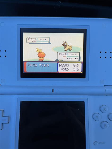 [3] Uncatchable Shiny Poochyena After 484 Srs In Ruby R Shinypokemon