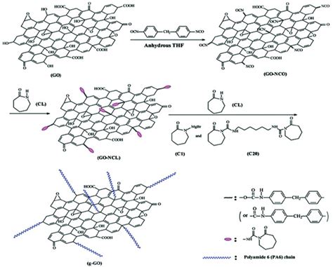 Scheme 9 Synthesis Route Of Polyamide 6 Pa6 G Go Nanocomposites Via Download Scientific