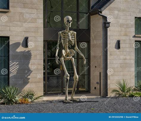 Giant Human Skeleton Standing Outside A Building In Dallas Texas