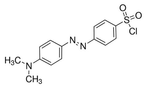 4 二甲氨基 偶氮苯 4 磺酰氯4 Dimethylamino azobenzene 4 sulfonyl chloride