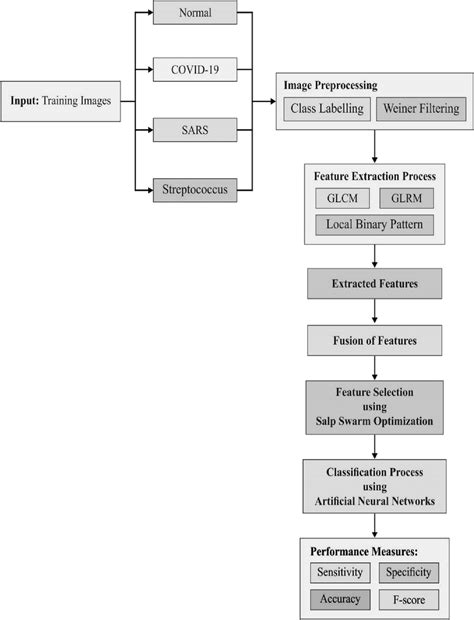 Flowchart Of Proposed Fm Ann Model Download Scientific Diagram