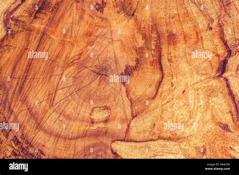 Ash Tree Trunk Cross Section Detailed Macro Texture Stock Photo Alamy