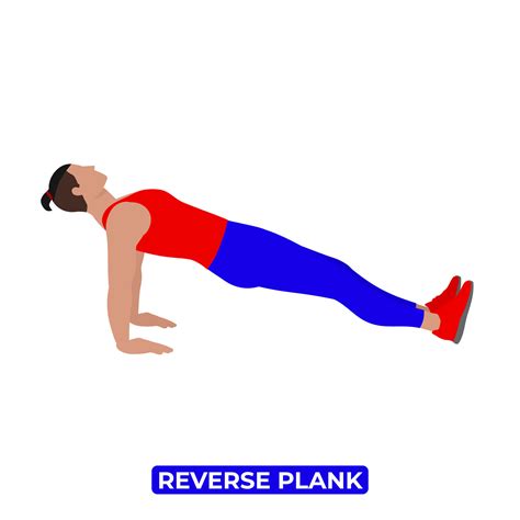 Vector Man Doing Reverse Plank Purvottanasana Bodyweight Fitness Abs