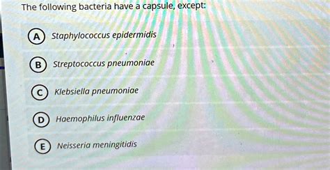 The Following Bacteria Have A Capsule Except A Staphylococcus