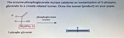 Solved The Enzyme Phosphoglycerate Mutase Catalyzes An