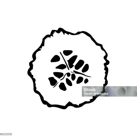 검은 윤곽선에 손으로 그린 간단한 벡터 그림 오이 슬라이스 둥근 컷 건강한 유기농 채소 채식주의 음식 0명에 대한 스톡 벡터 아트 및 기타 이미지 Istock