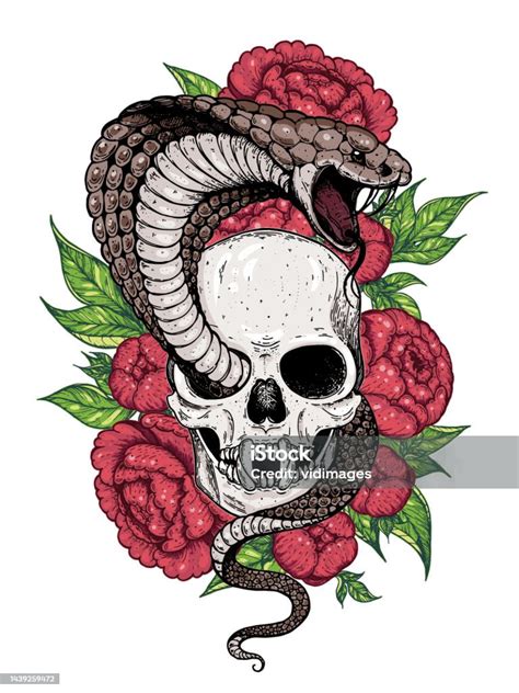 뱀파이어 해골 코브라 뱀과 꽃 손으로 그린 그림 문신 빈티지 프린트 손으로 그린 꽃 무늬 프린트 문신 디자인 T 셔츠에 대한 스톡 벡터 아트 및 기타 이미지 Istock