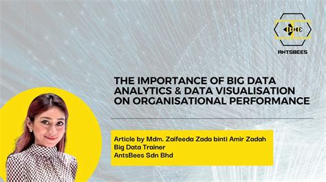 The Importance Of Big Data Analytics And Data Visualization On Organizational Performance