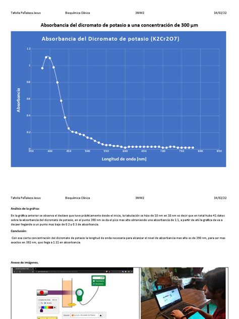 Absorbancia Del Dicromato De Potasio A Una Concentración De 300 M Pdf