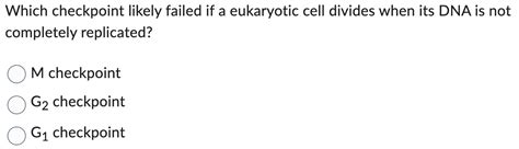 Solved Which Checkpoint Likely Failed If A Eukaryotic Cell
