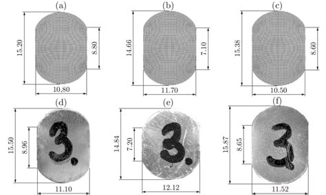 Shapes Of The Computed A C And Experimental D F Specimens Obtained Download Scientific