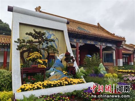 开封第42届菊花文化节主会场赏菊启动仪式举行 文化旅游 中新网河南新闻