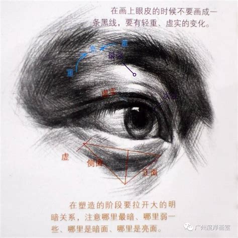 眼睛的别称 古人对眼睛的雅称 目光的雅称 大山谷图库