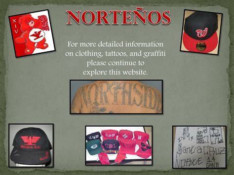 Nortenos Xiv