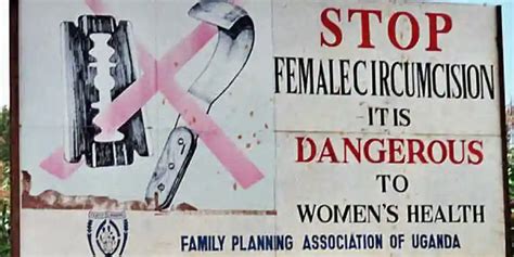 Definition And Meaning Of Fgm Examples Synonyms And Antonyms