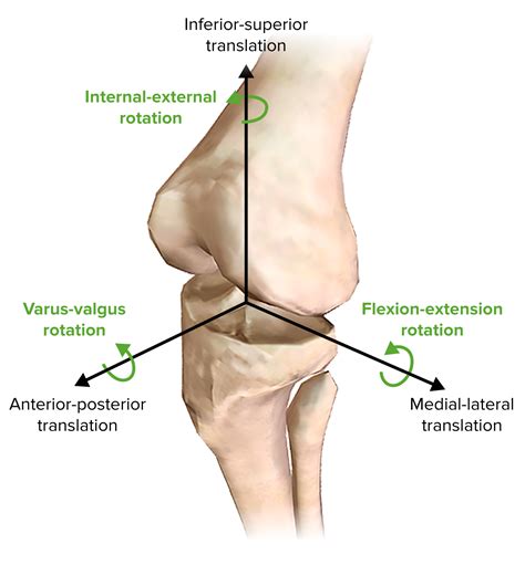 Internal Rotation Knee