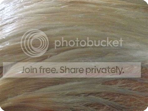 I Am Ash Blonde