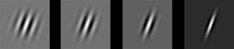 3 Gabor Filter Kernels With Different Aspect Ratios γ1 075 05 Download Scientific