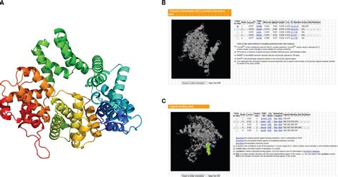 A Alphafold Database And Pymol Software Predictions Of The Tertiary Download Scientific