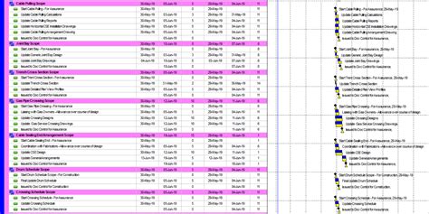 Baseline Total Float