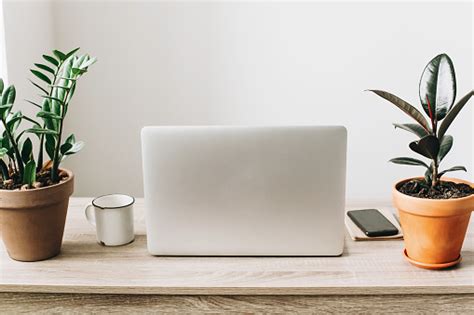 프리랜서 개념입니다 노트북 휴대 전화 노트북 커피 컵과 식물으로 데스크톱 가정 이나 사무실 나무 테이블에 작업 도구에서 작업 영역 사업 세련 된 직장 개념에 대한 스톡 사진