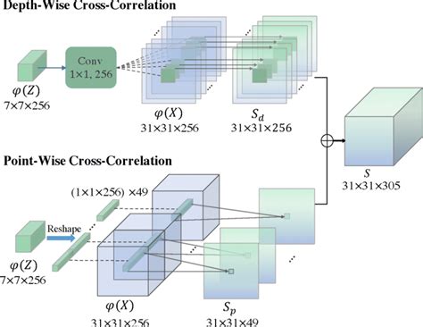 Bi Grained Cross Correlation Module With Both Point Wise And Depth Wise