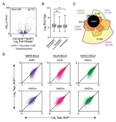 Figure 3 From Dynamic Repression By Bcl6 Controls The Genome Wide Liver Response To Fasting And